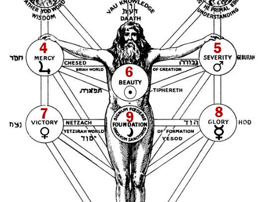 Tree Of Life