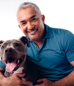 Cesar Millan: Born the Queen of Hearts!